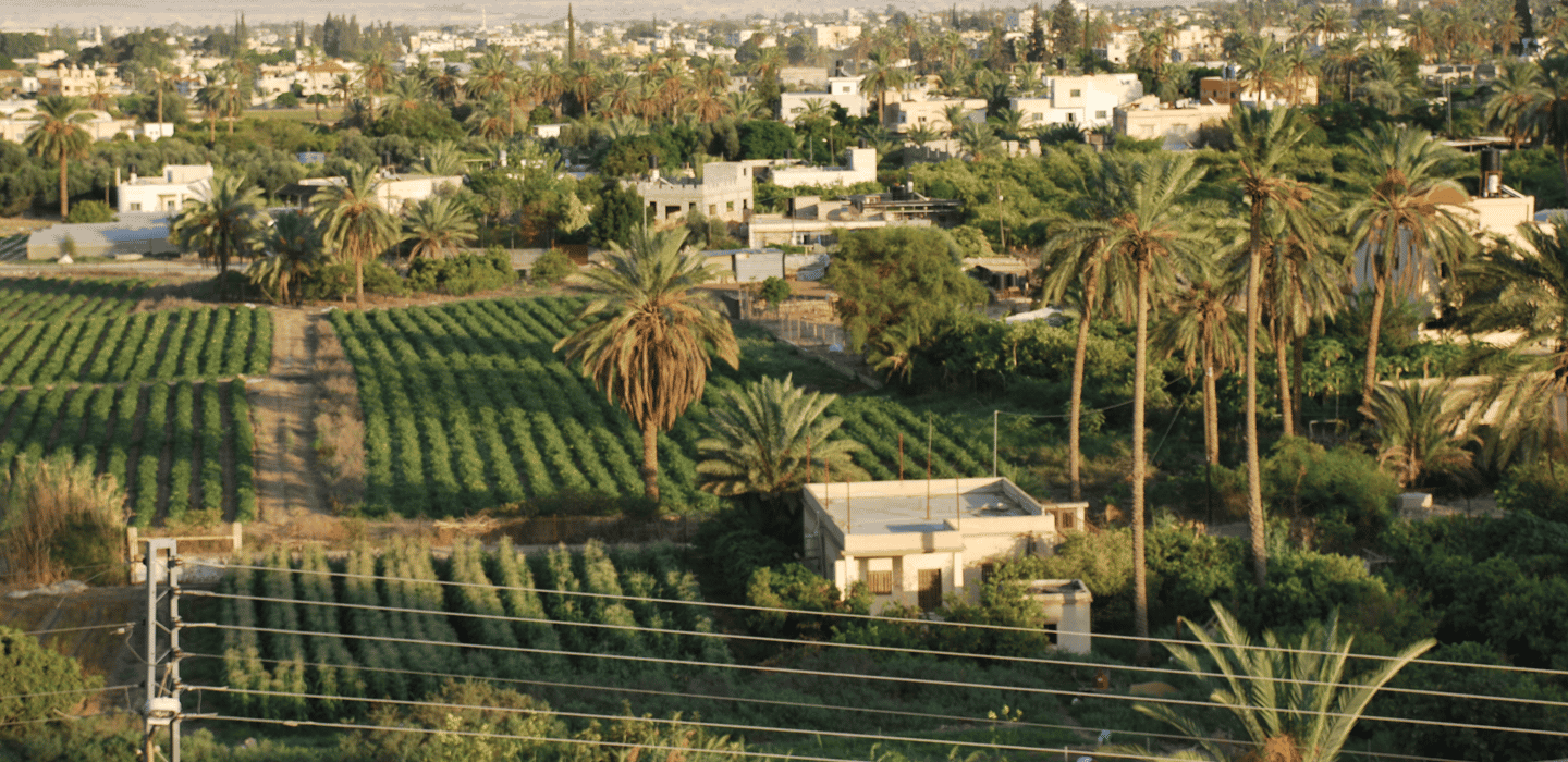 BEDSTE Jeriko UNESCO-steder 2024 - GRATIS afbestilling | GetYourGuide