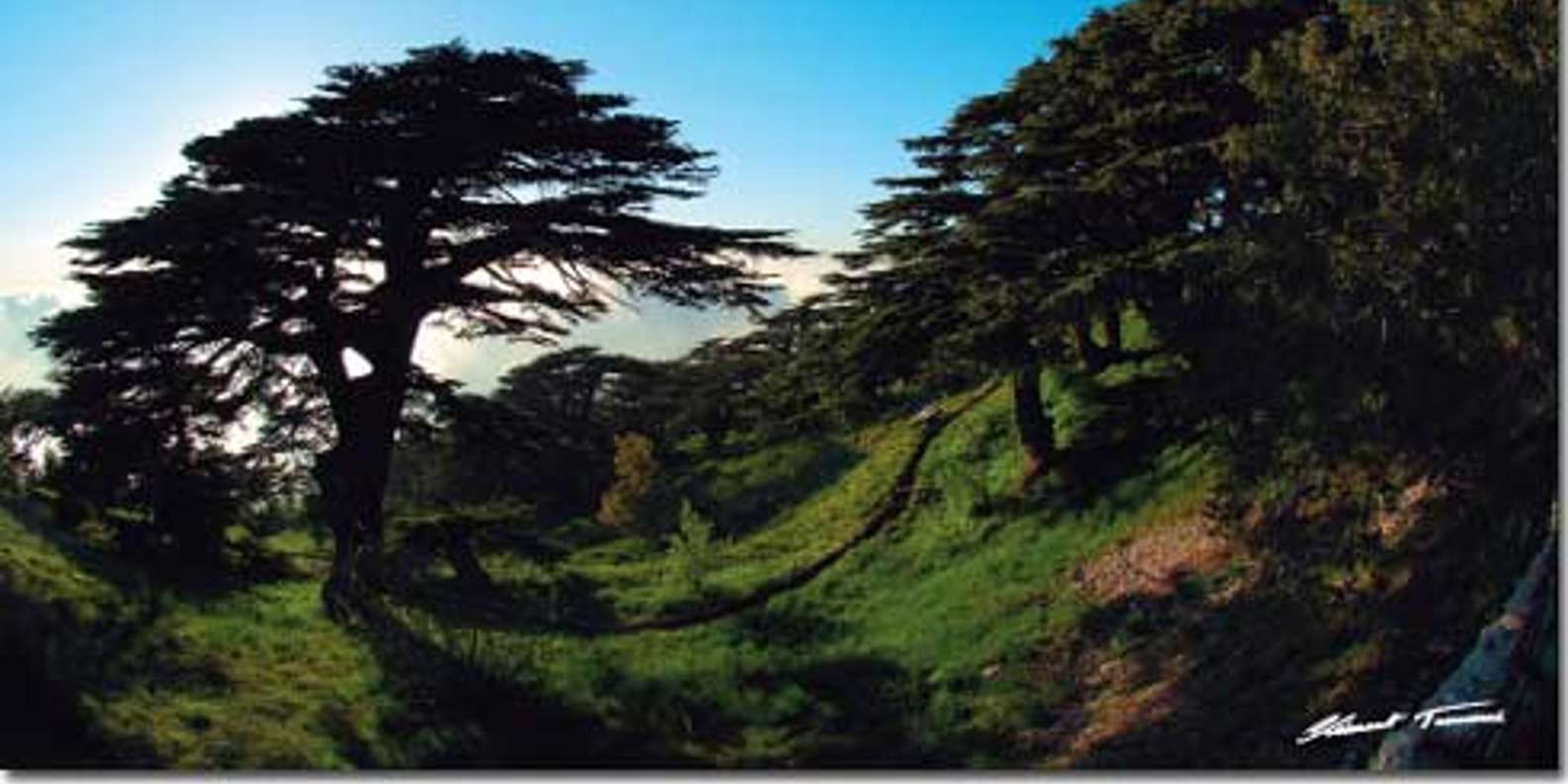 The BEST Beit ed-Dine Activities 2023 - FREE Cancellation | GetYourGuide