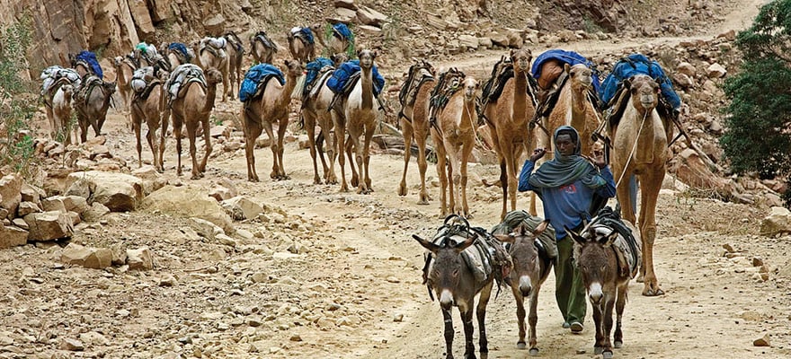 Awash, Ethiopië: de BESTE tours en dingen om te doen in 2024 - GRATIS ...