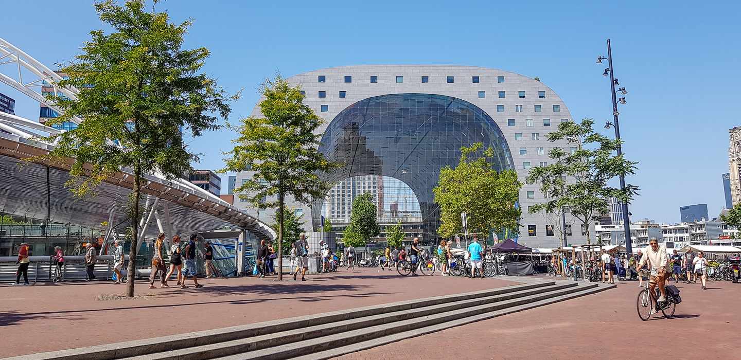 The BEST Rotterdam Culture & history 2023 - FREE Cancellation ...