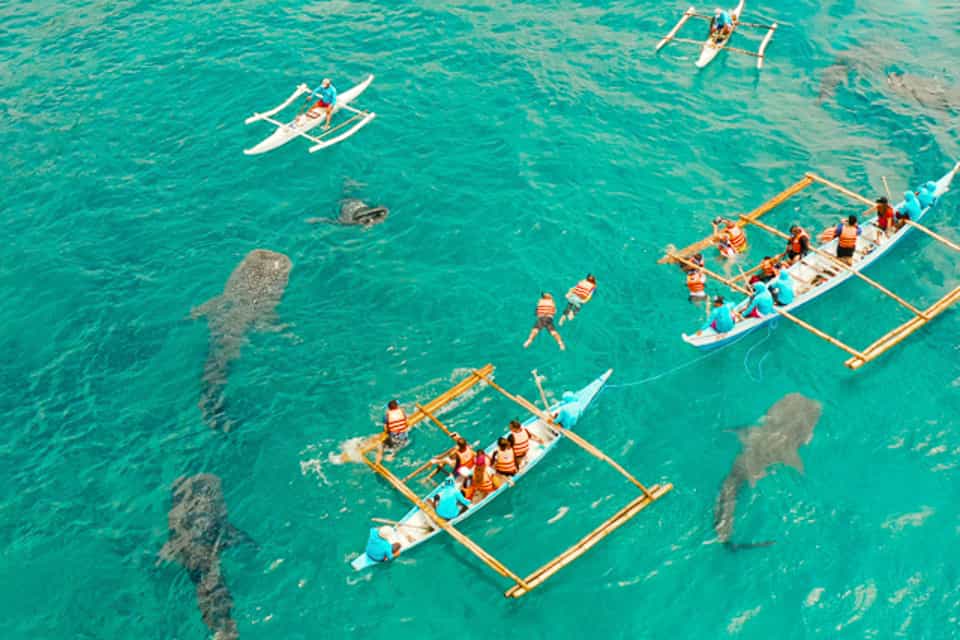 The BEST Oslob Tours and Things to Do in 2023 - FREE Cancellation ...