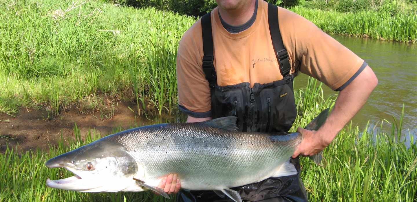 The BEST Central Denmark Region Tours 2023 - FREE Cancellation ...