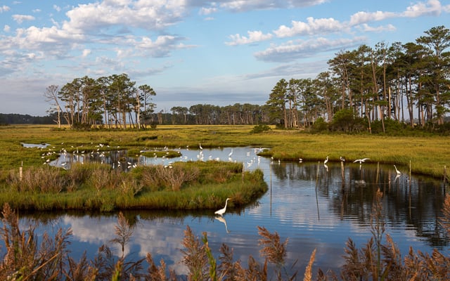 Chincoteague Island, Accomack County, Virginia - Tickets ...