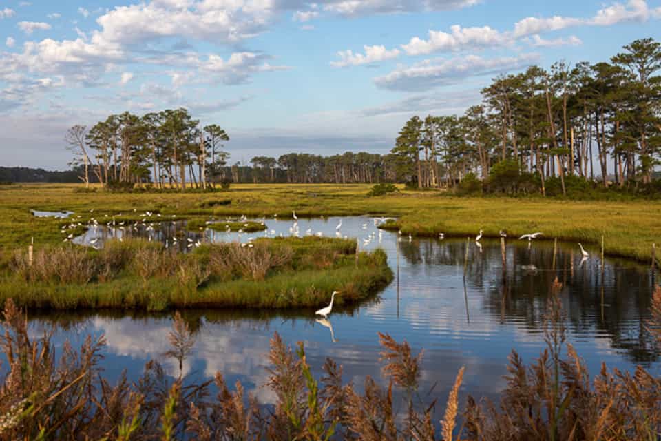 The BEST Accomack County, Virginia Tours and Things to Do in 2022 ...