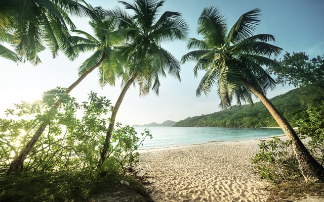 The BEST Takamaka Tours and Things to Do in 2024 - FREE Cancellation ...