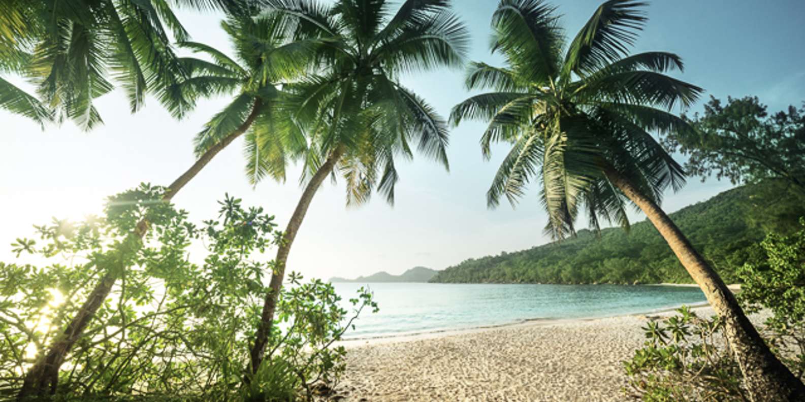 The BEST Takamaka, Seychelles Guided tours 2023 - FREE Cancellation ...