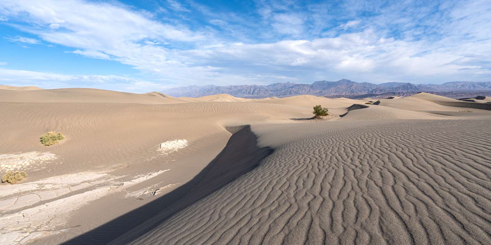 Mesquite Zandduinen in Californië bezoeken? Boek tickets en tours ...