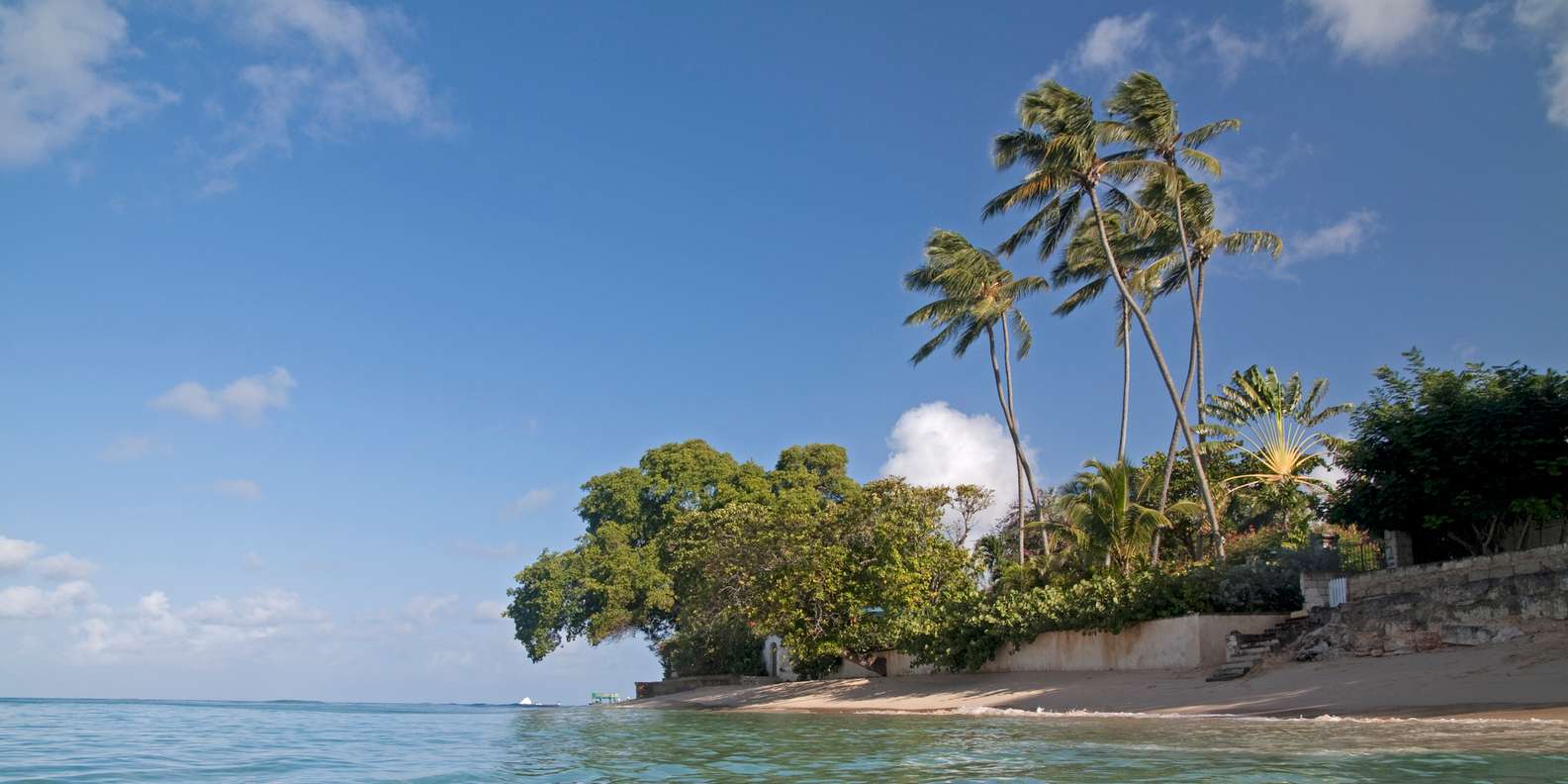 The BEST Gibbes, Barbados Tours and Things to Do in 2025 - FREE ...
