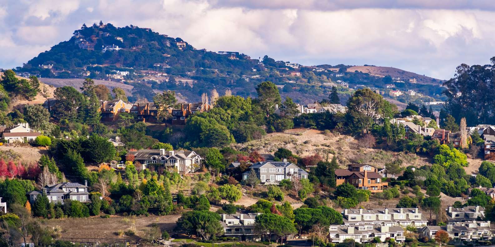 The BEST Mill Valley, California Tours and Things to Do in 2026 - FREE ...