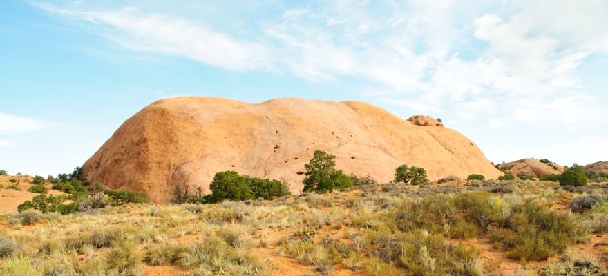 Roca Ballena, Canyonlands Actividades veraniegas: lo MEJOR de 2024 ...