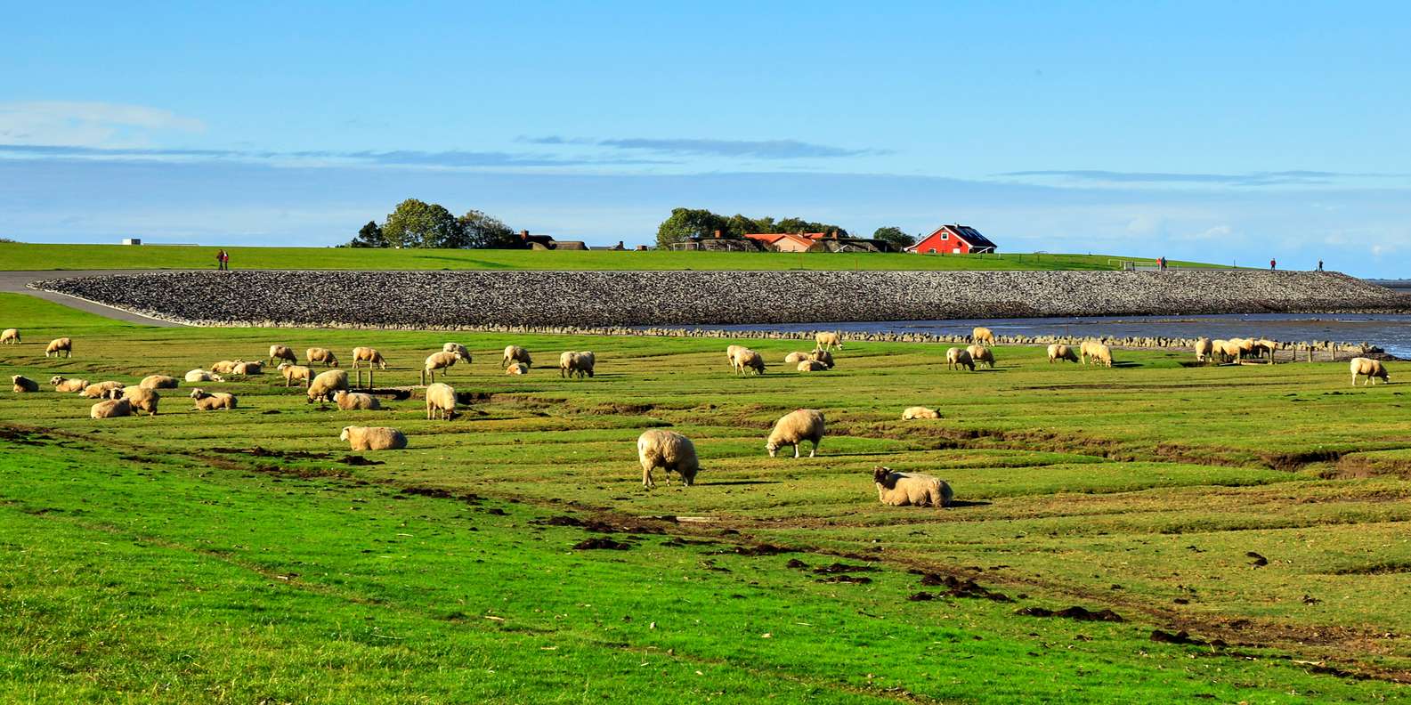 Nordstrand Tour di quartieri tipici: il MEGLIO del 2024 - Cancellazione ...