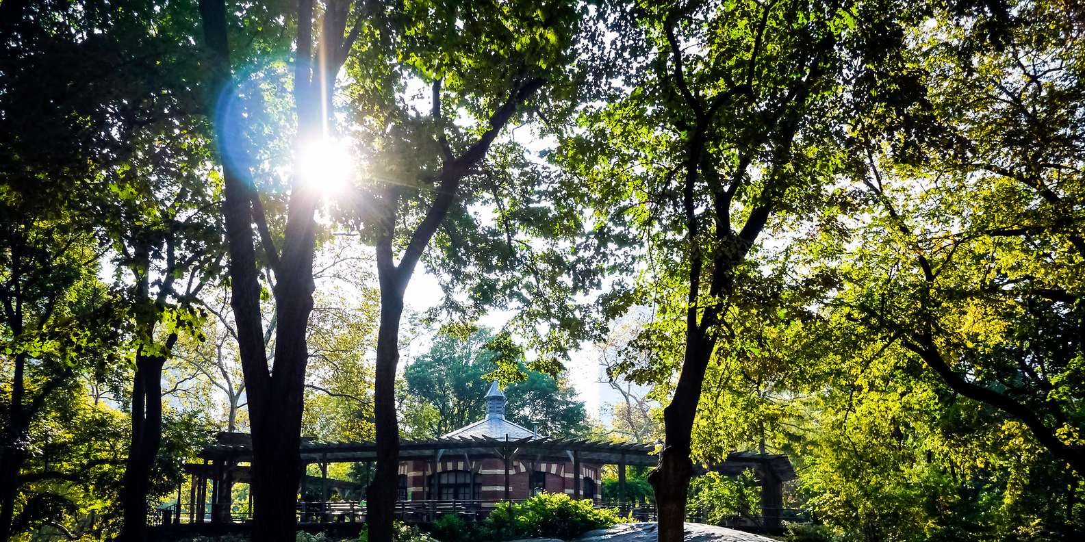 BÄSTA Chess & Checkers House Landmärken och monument 2023 - GRATIS ...