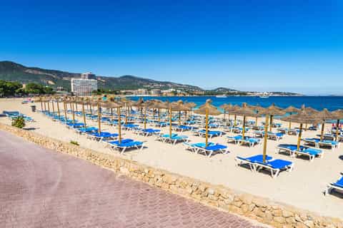 The best Palma Nova Cruises & boat tours 2026 - Free cancellation ...