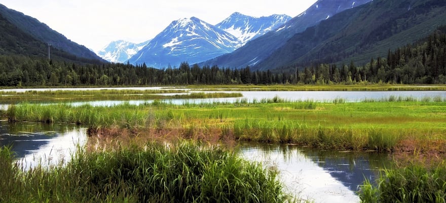 The BEST Turnagain Arm Summer activities 2024 - FREE Cancellation ...