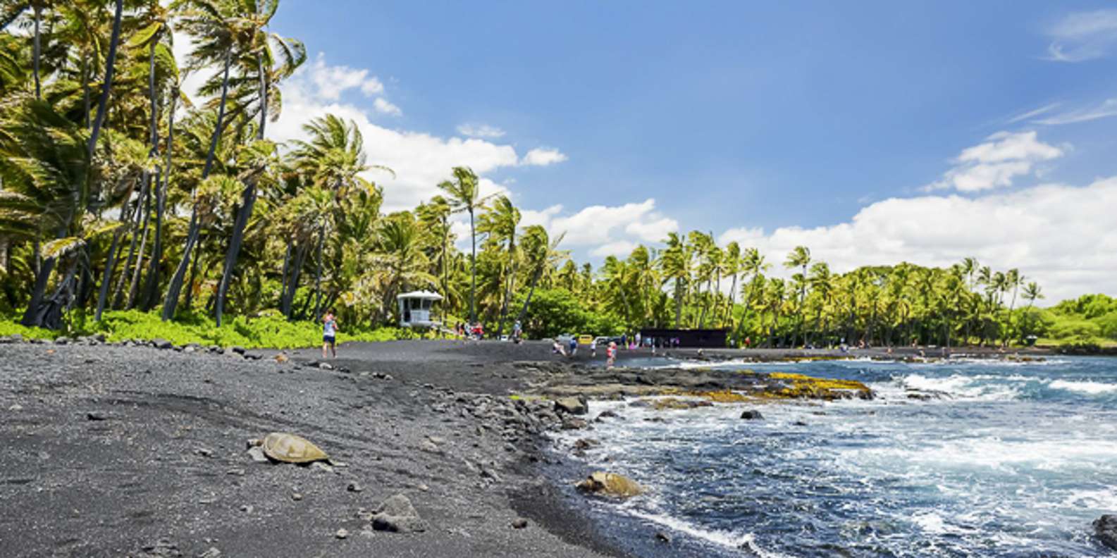 BESTE Garten- und Parktouren Punalu'u Black Sand Beach, Hawaii 2023 ...