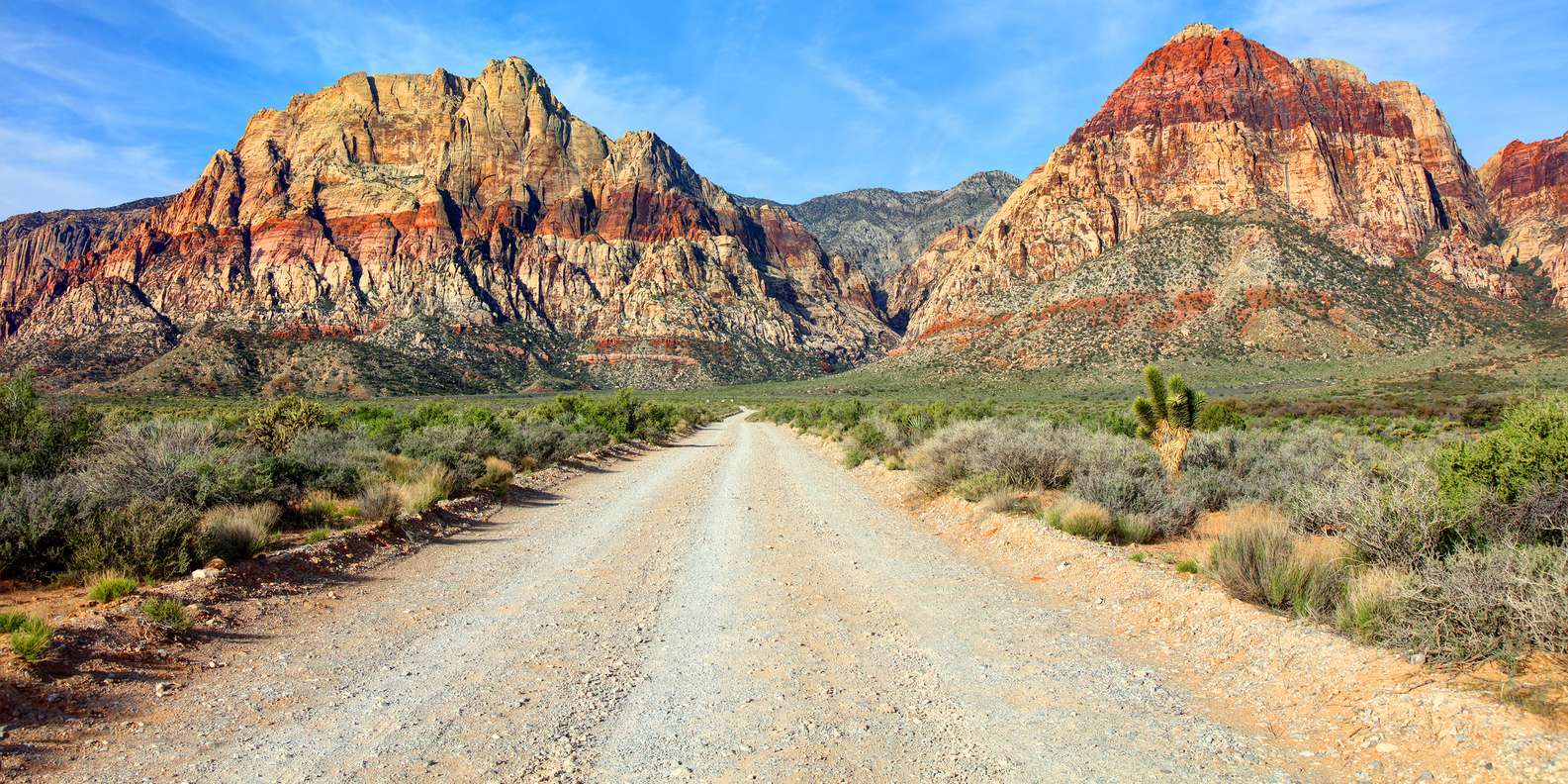 The BEST Mojave Desert, California Tours and Things to Do in 2023 - FREE Cancellation | GetYourGuide