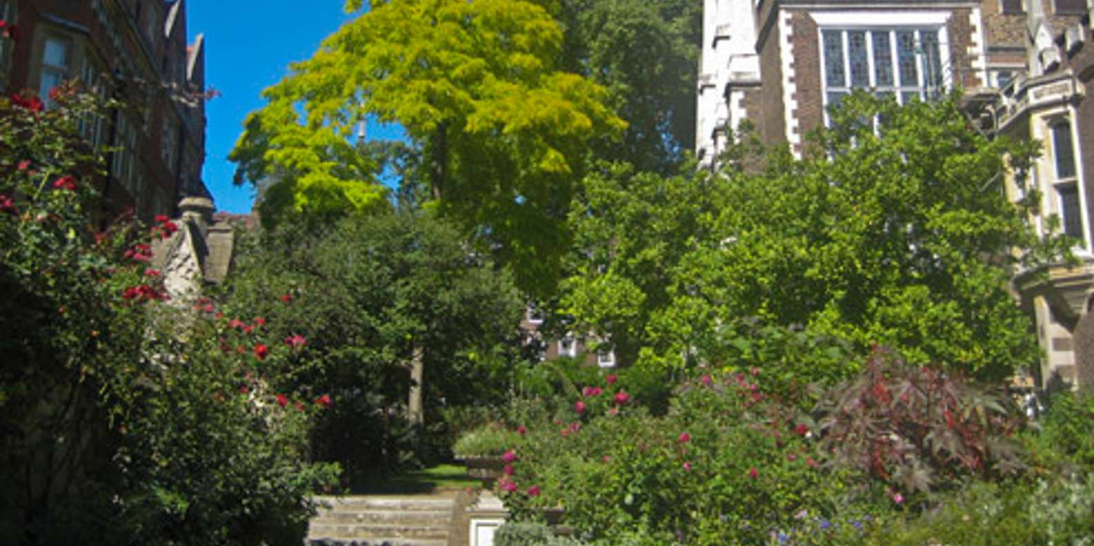 The BEST Garden Museum, London Night tours 2023 - FREE Cancellation ...