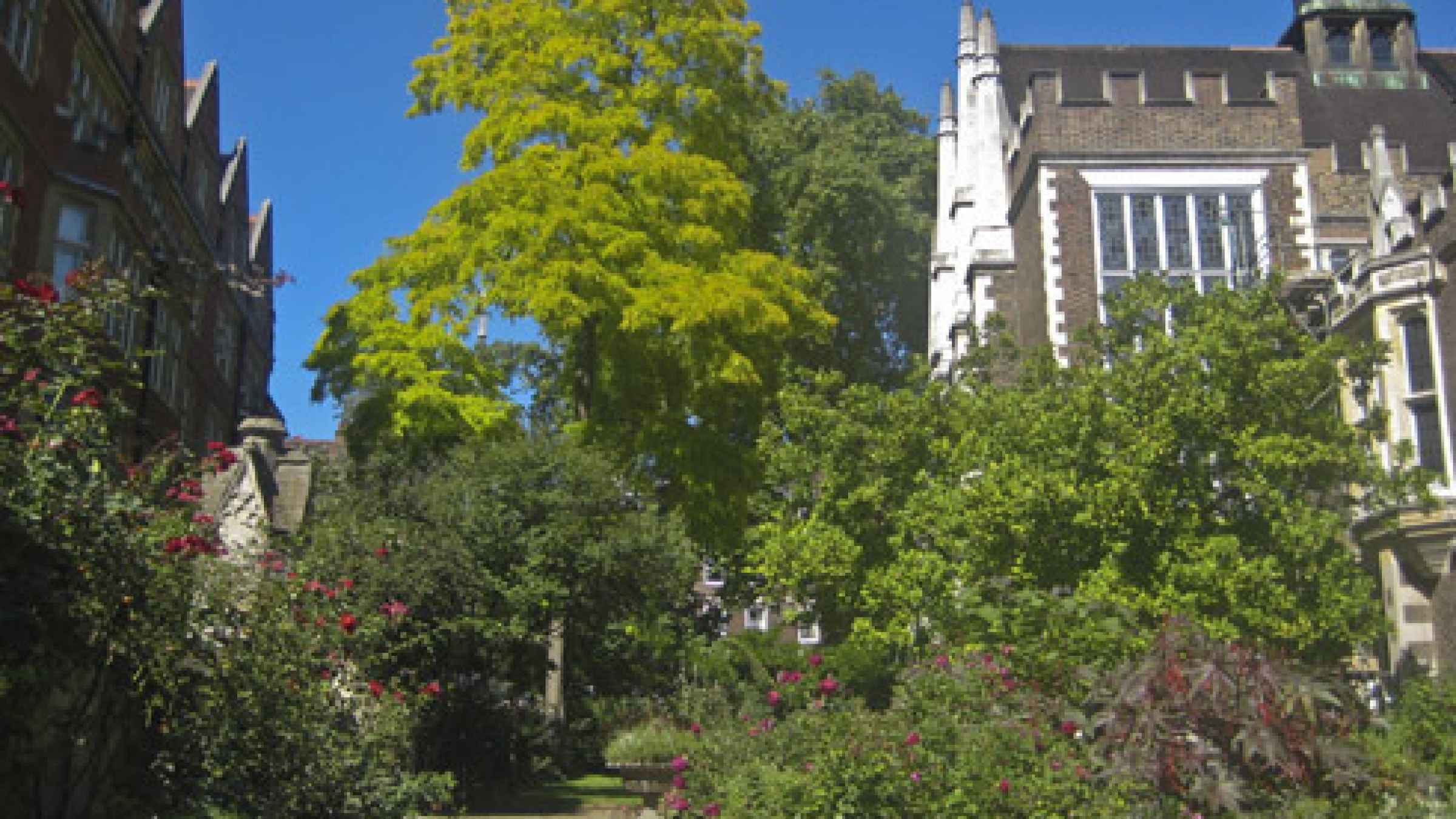 The BEST Garden Museum London Museums Exhibitions 2022 FREE