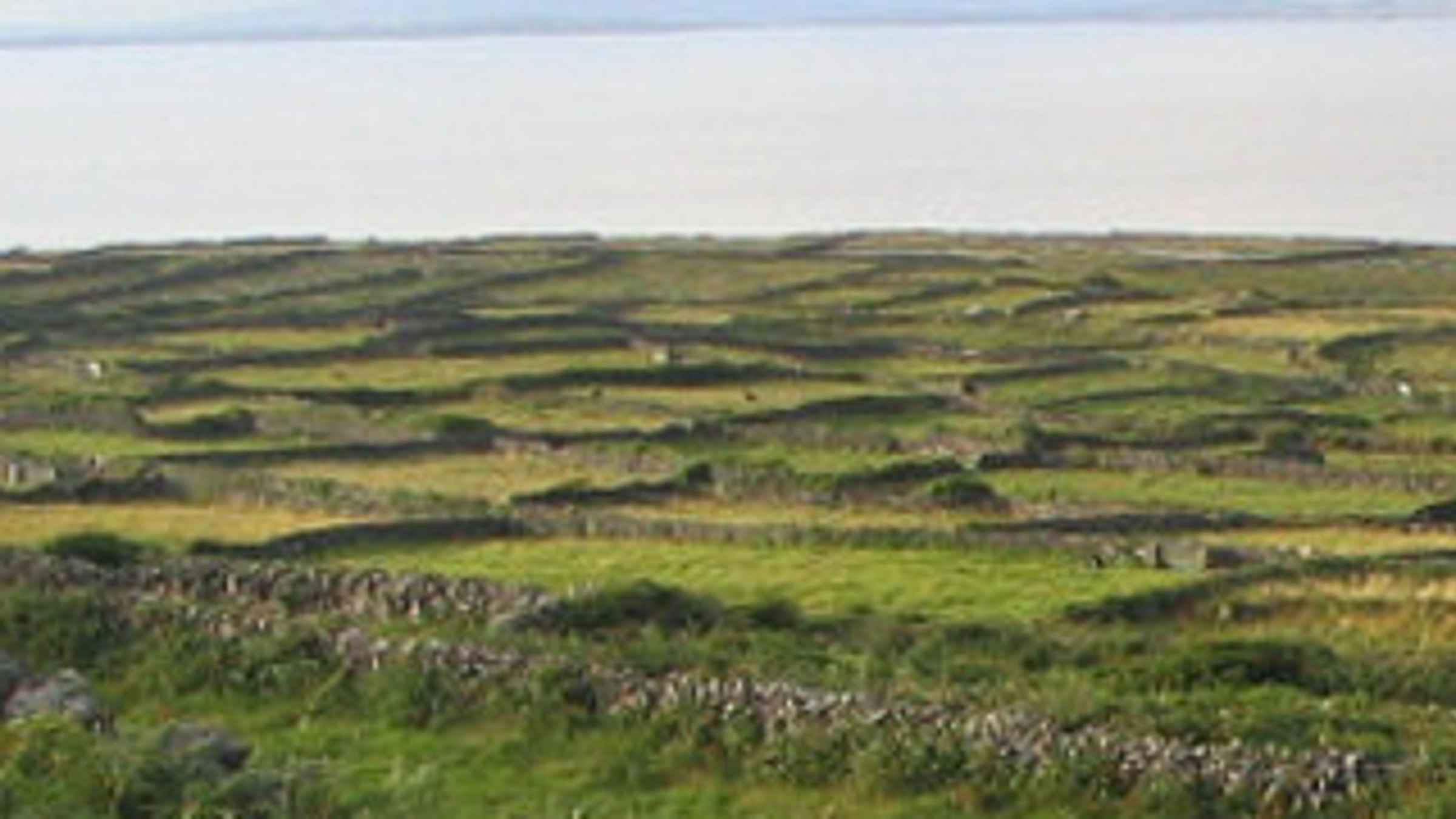 I 10 migliori tour di Kinnegad nel 2021 (con foto) - Cose da fare e ...