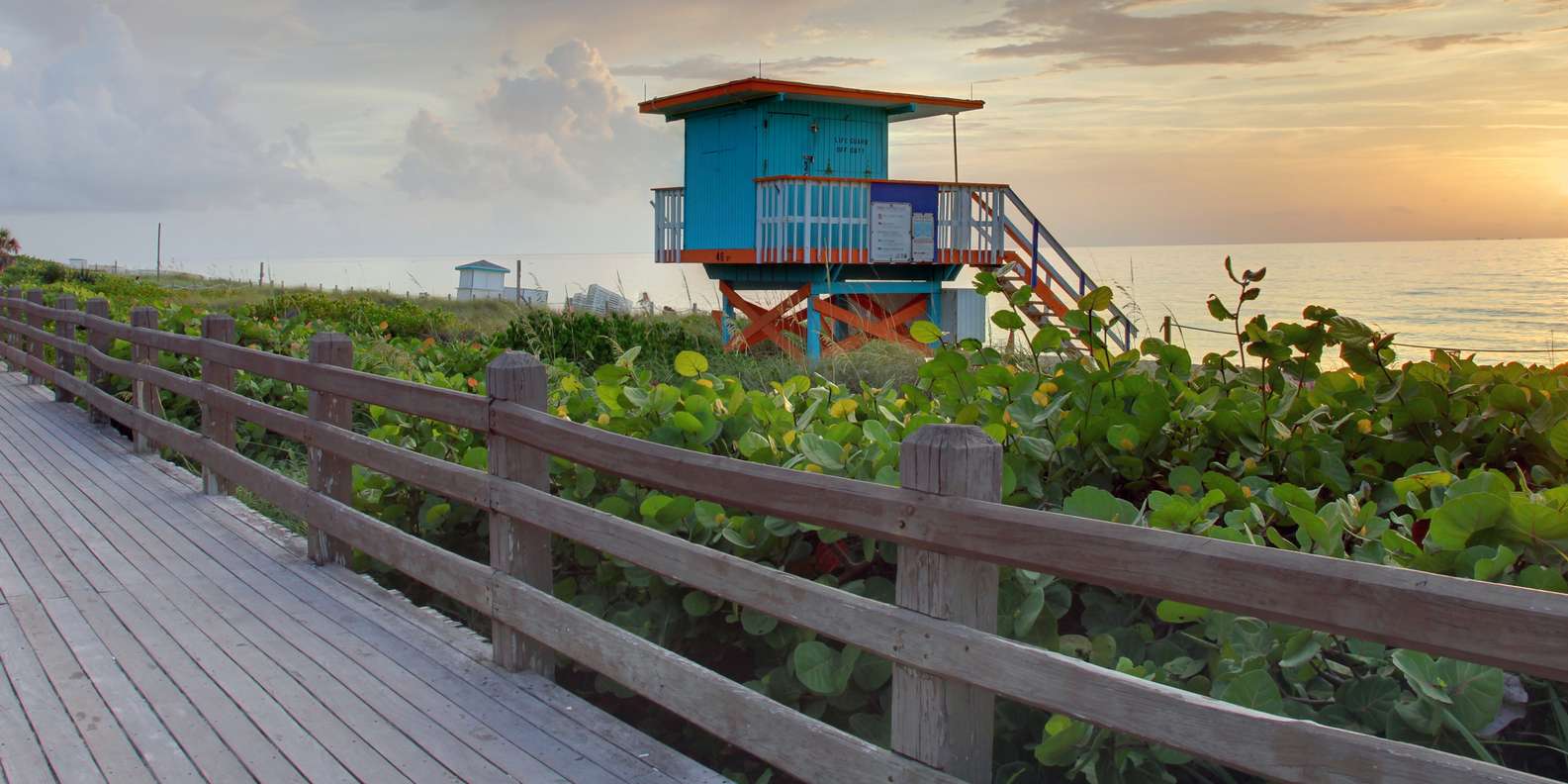 The BEST Miami Beach Botanical Gardens Autumn activities 2023 - FREE ...