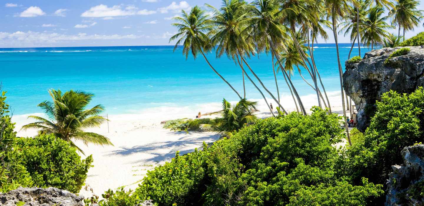 TOP Palm Cove Atrakcje letnie 2024 – DARMOWA rezygnacja | GetYourGuide