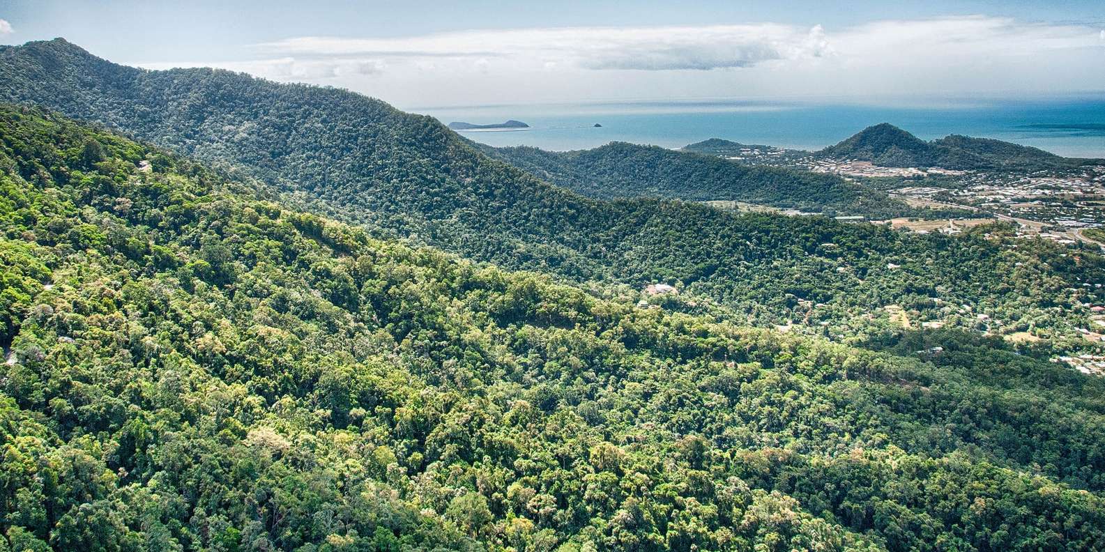 The BEST Daintree Rainforest Summer activities 2023 - FREE Cancellation ...