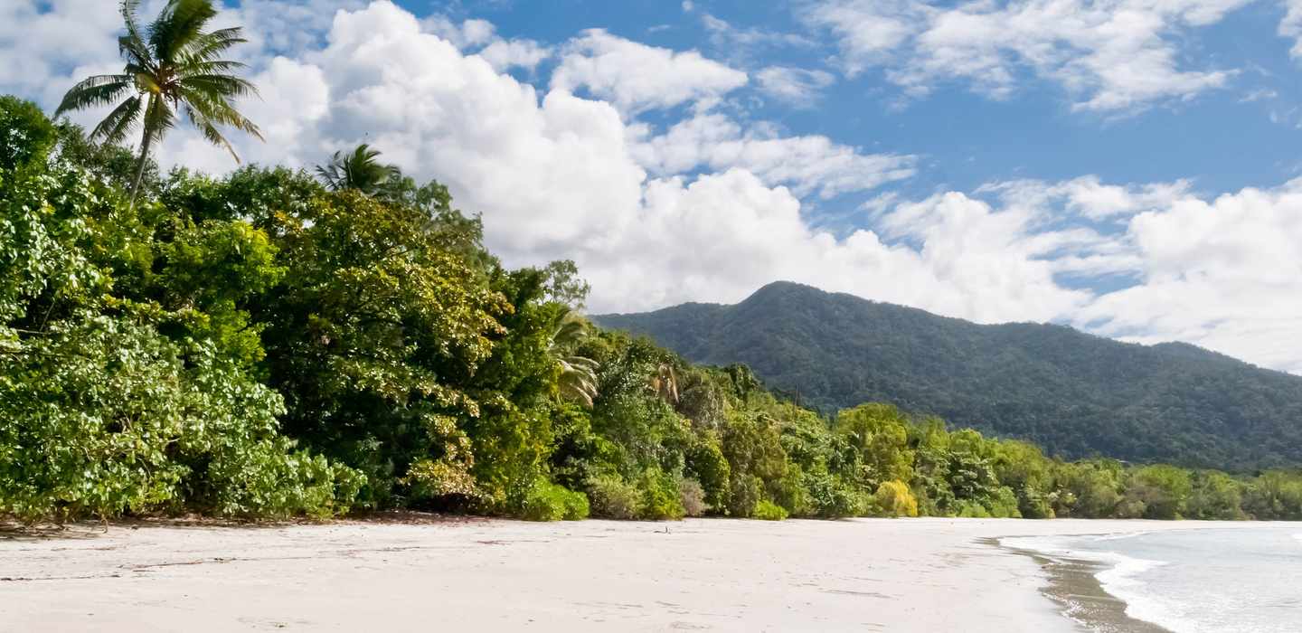 Day Trips from Cape Tribulation | GetYourGuide