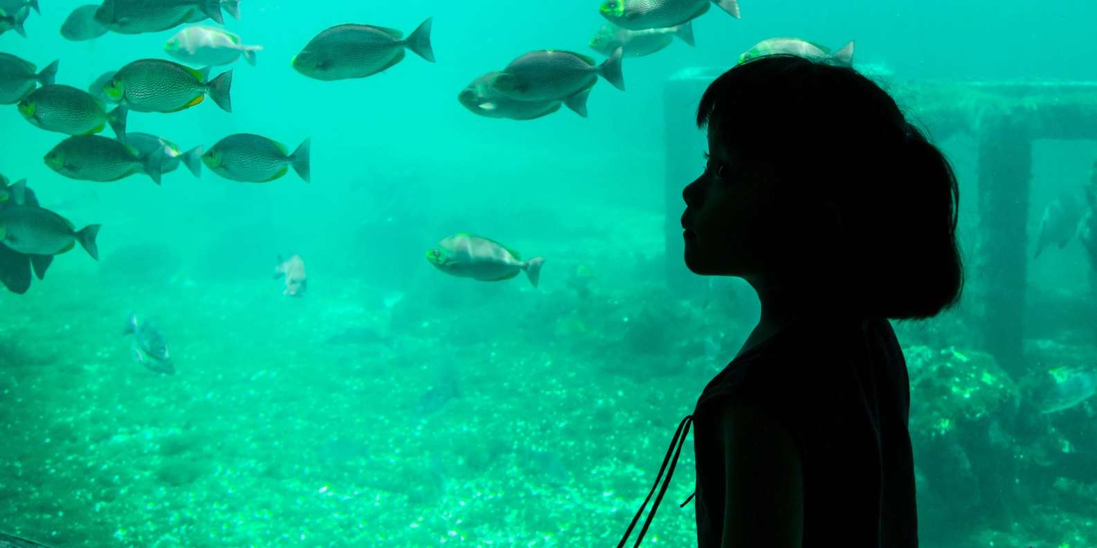 The BEST Lisbon Zoo Self-guided activities 2023 - FREE Cancellation ...