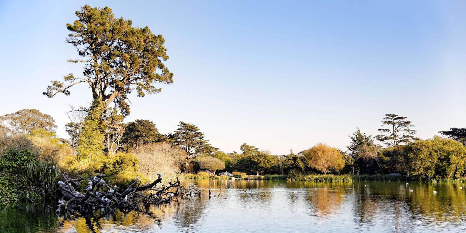 Stow Lake, San Francisco - Book Tickets & Tours | GetYourGuide
