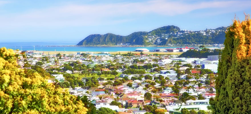 The BEST Wellington Summer activities 2023 - FREE Cancellation ...