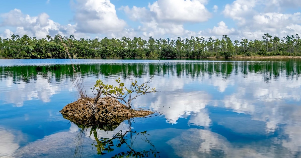 Homestead 2020: Top 10 Tours & Activities (with Photos) - Things to Do ...