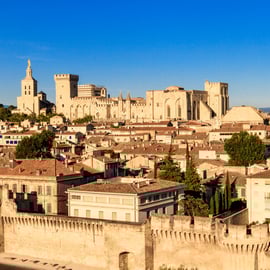 The BEST Avignon Tours and Things to Do in 2023 - FREE Cancellation ...