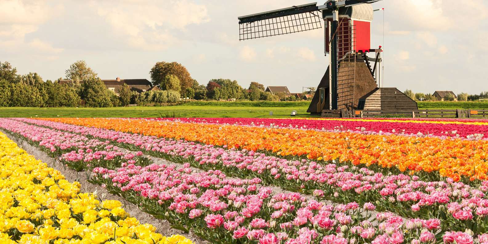 The BEST Netherlands National parks 2023 - FREE Cancellation | GetYourGuide