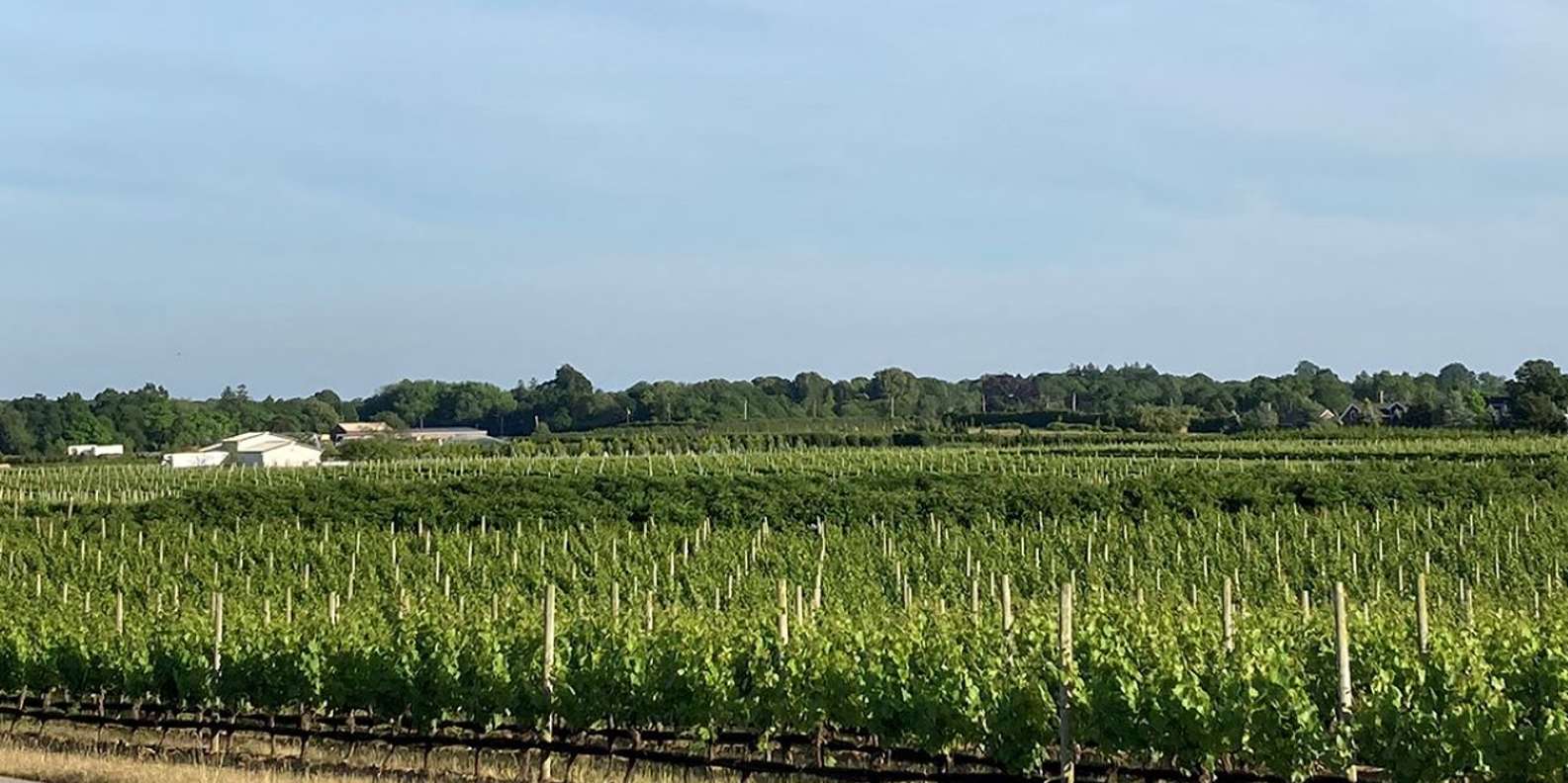 The BEST Mattituck, New York Guided tours 2023 - FREE Cancellation ...