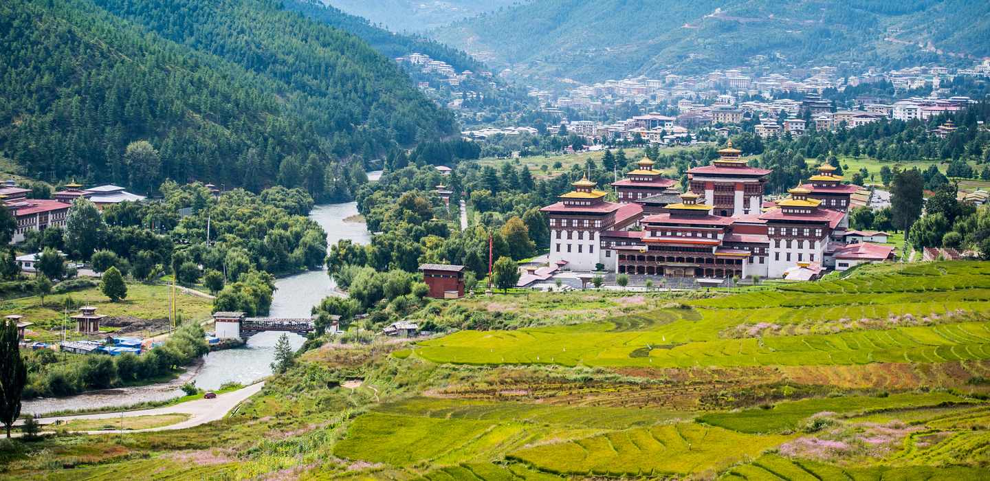 Timbu Historia y cultura: lo MEJOR de 2024 - Cancelación GRATIS ...