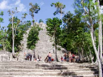 Cenote Yax-Muul, Tulum - Book Tickets & Tours | GetYourGuide