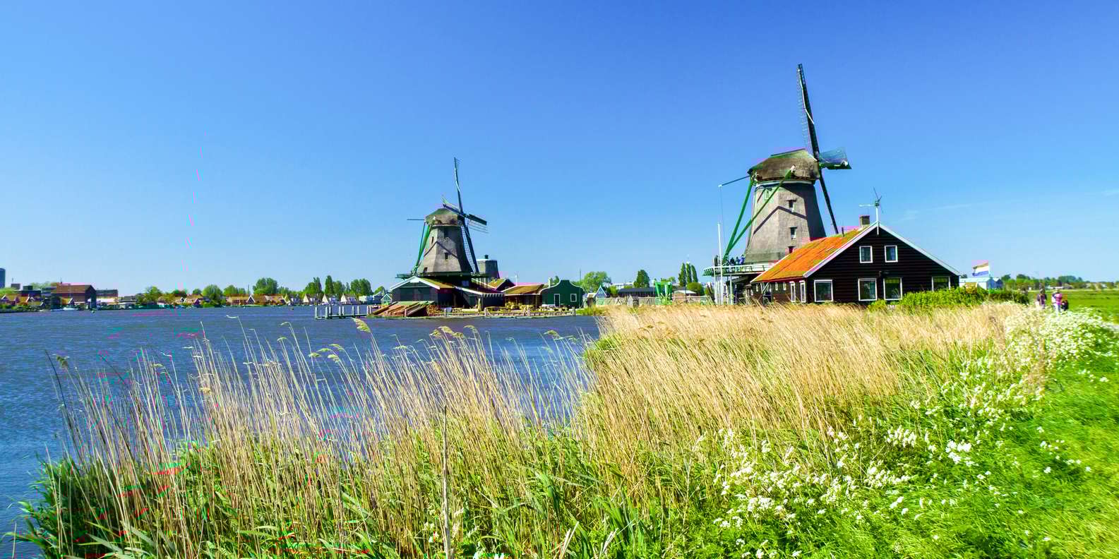 The BEST Volendam Windmills 2023 - FREE Cancellation | GetYourGuide