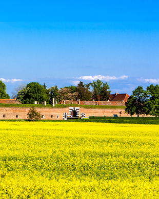 The BEST Terezin Tours and Things to Do in 2024 - FREE Cancellation ...