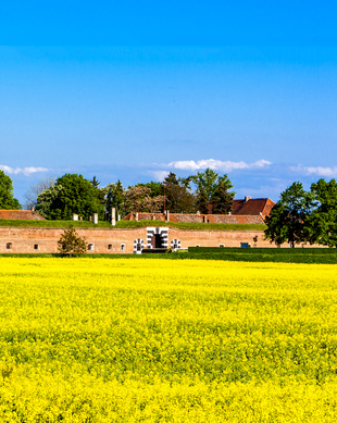 The BEST Terezin Tours and Things to Do in 2024 - FREE Cancellation ...