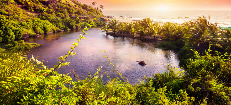 The BEST Goa Spring activities 2024 - FREE Cancellation | GetYourGuide