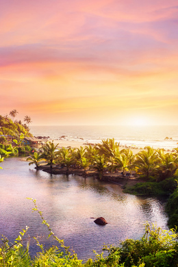 The BEST Goa Tours and Things to Do in 2024 - FREE Cancellation ...