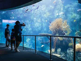 Page Museum, Los Angeles - Book Tickets & Tours | GetYourGuide