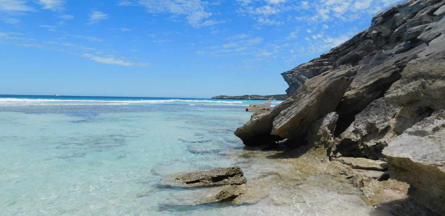 Rottnest Island Audioguías: lo MEJOR de 2024 - Cancelación GRATIS ...