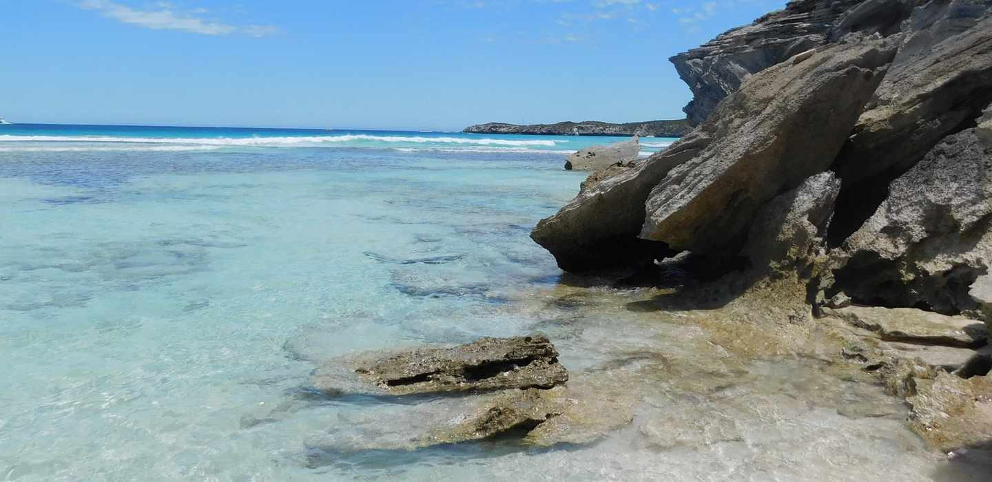 Viajes de 1 día desde Rottnest Island | GetYourGuide