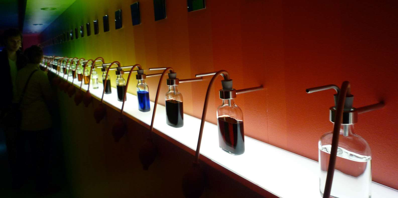 The BEST House of Bols Night tours 2023 - FREE Cancellation | GetYourGuide