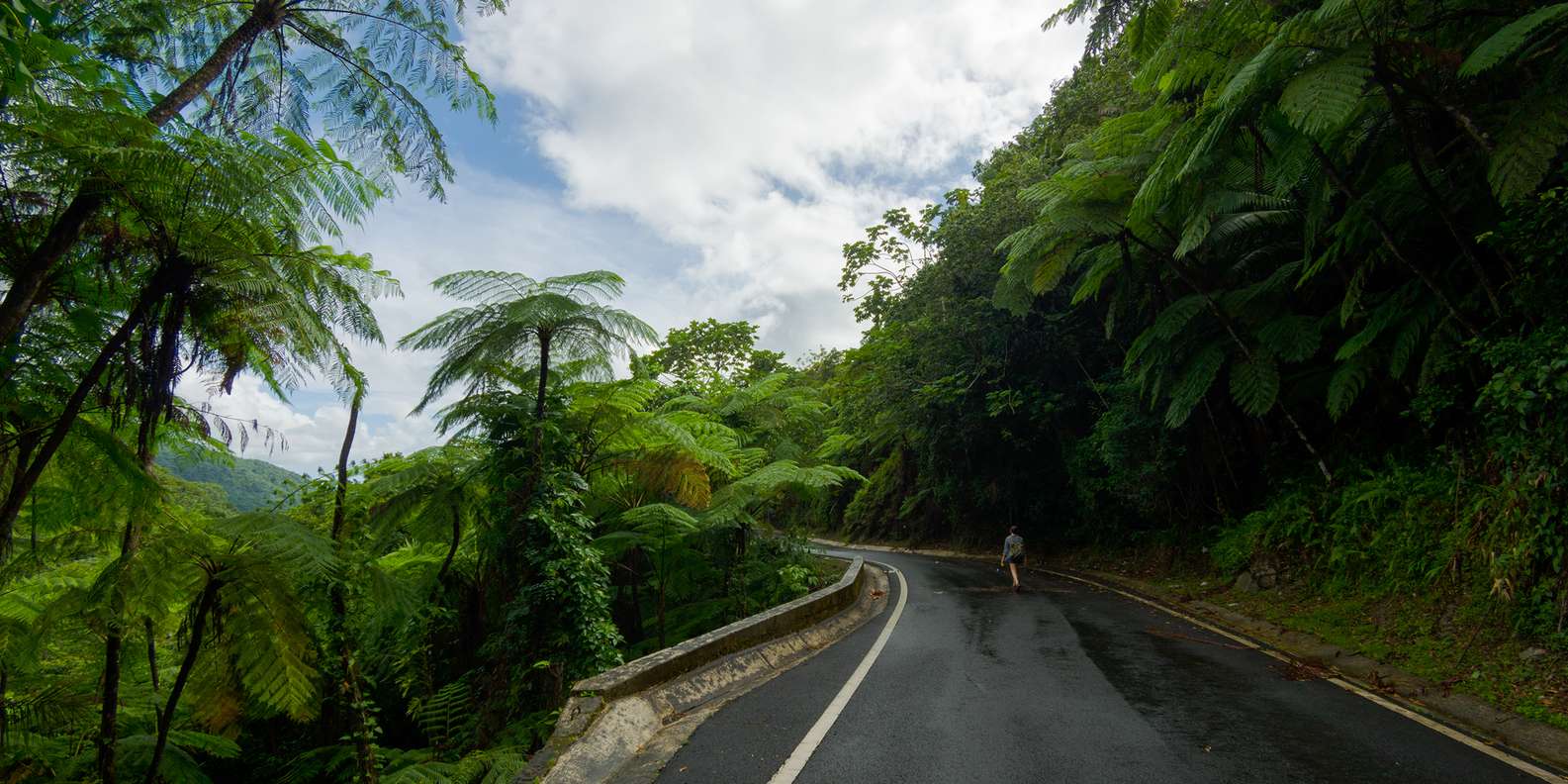 The BEST El Yunque National Forest For adults 2023 - FREE Cancellation ...