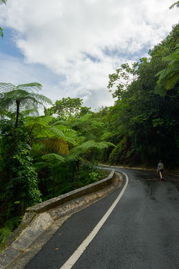 El Yunque National Forest, Río Grande, Puerto Rico - Book Tickets ...