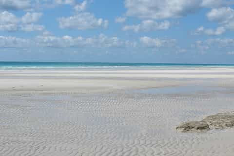 Isla Athol Paseos en barco y en bote: lo MEJOR de 2024 - Cancelación ...