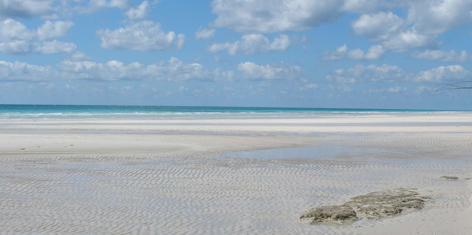 The BEST Athol Island Island tours 2023 - FREE Cancellation | GetYourGuide