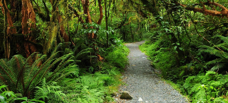 Routeburn Track, Queenstown - Book Tickets & Tours | GetYourGuide